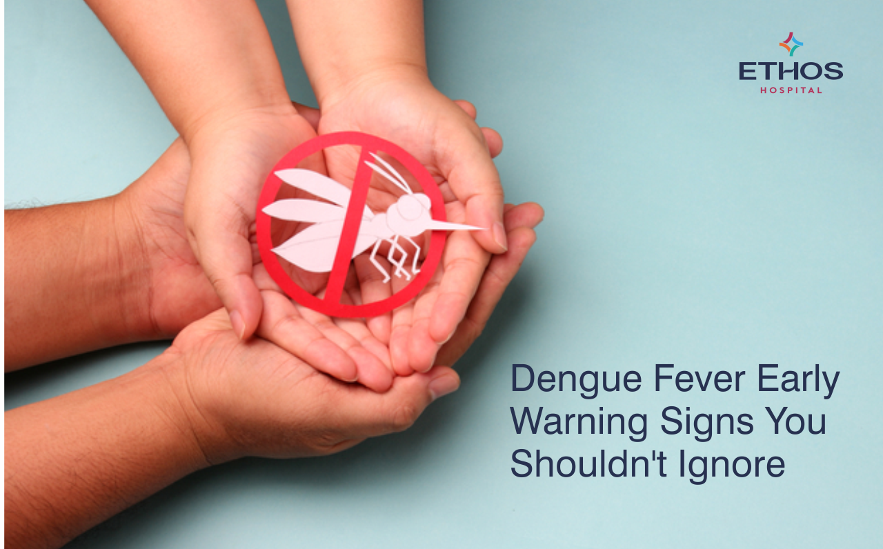 Dengue Fever Early Warning Signs You Shouldn’t Ignore - Ethos Hospital